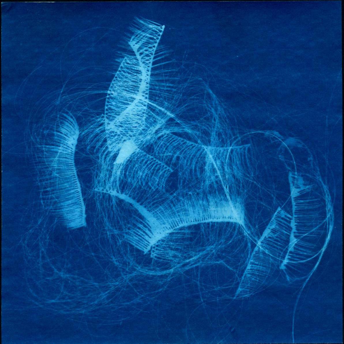 Cyanotypes - Liz Barr